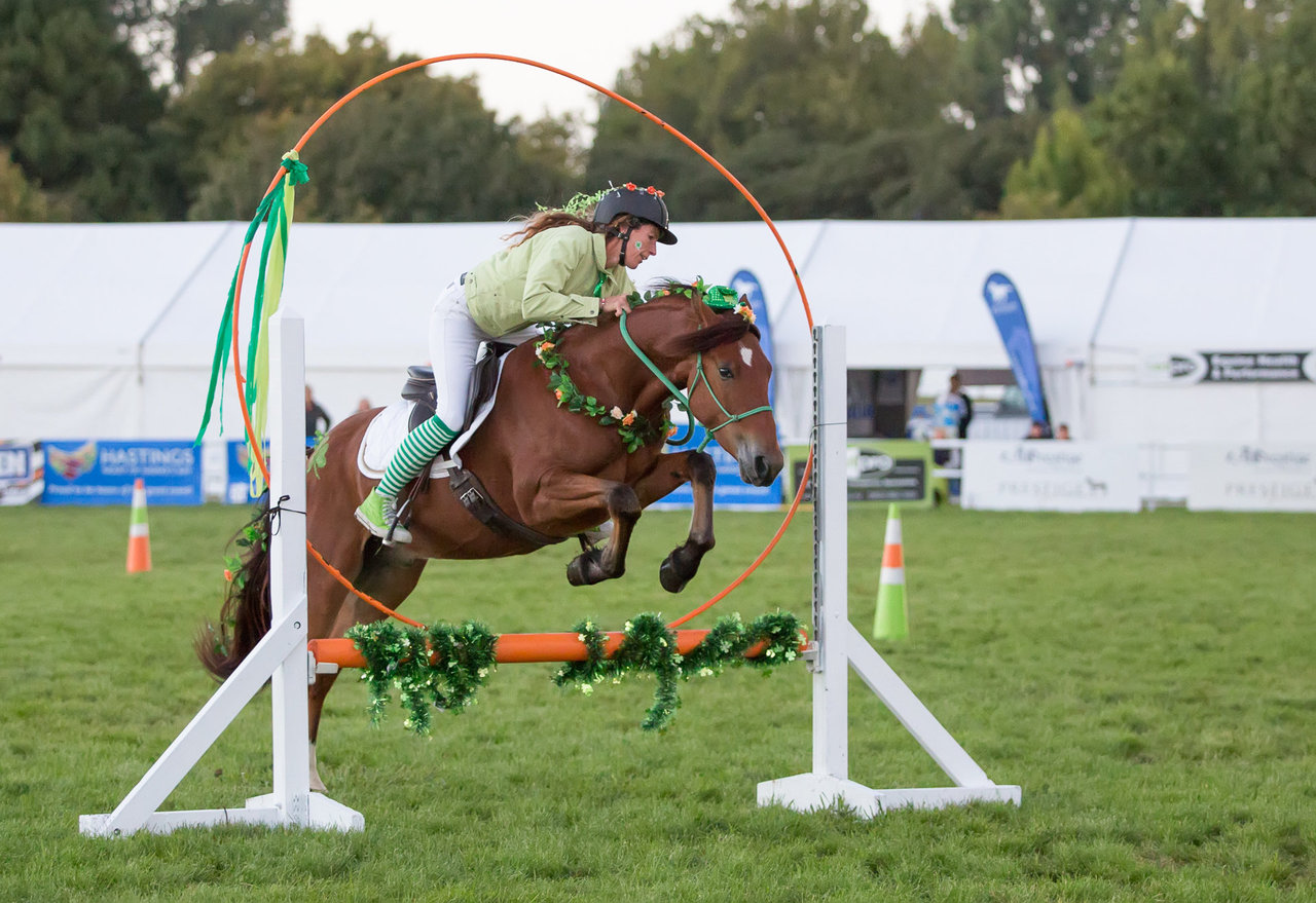 2015 HOY Stallion Challenge