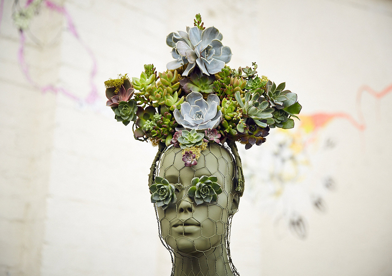 ORGANIC MODEL MAKING