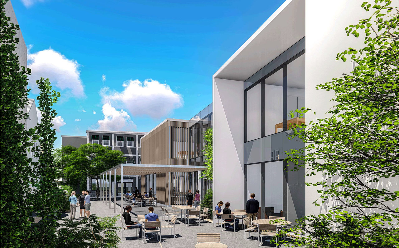 THE BERMUDA HIGH SCHOOL