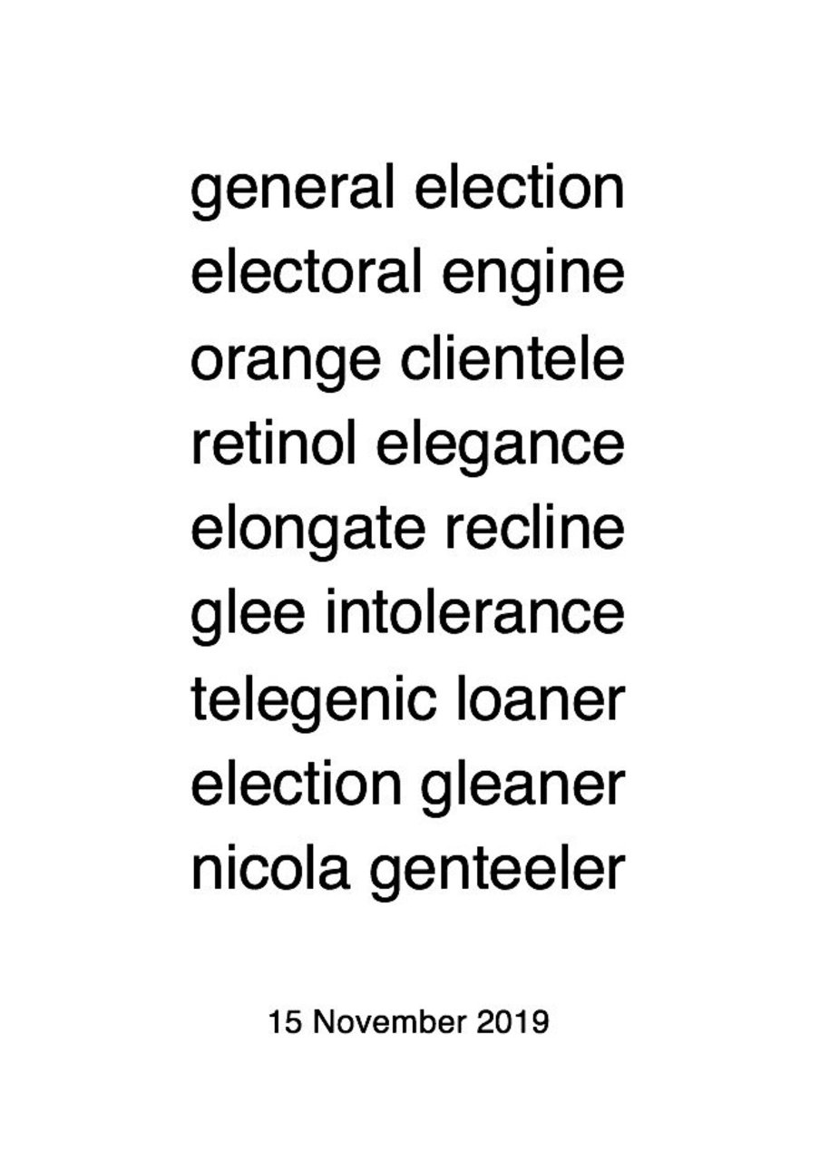 Election Artist 2019 | Anagram Poems