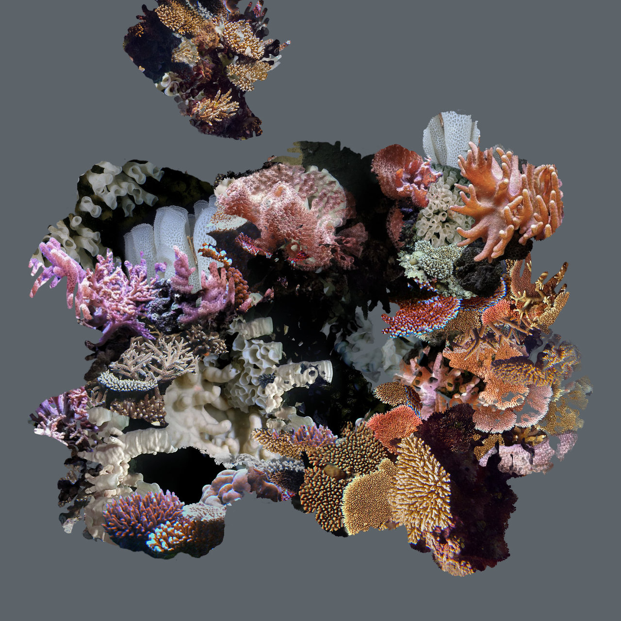 Coral Collages work for Neulinge 2