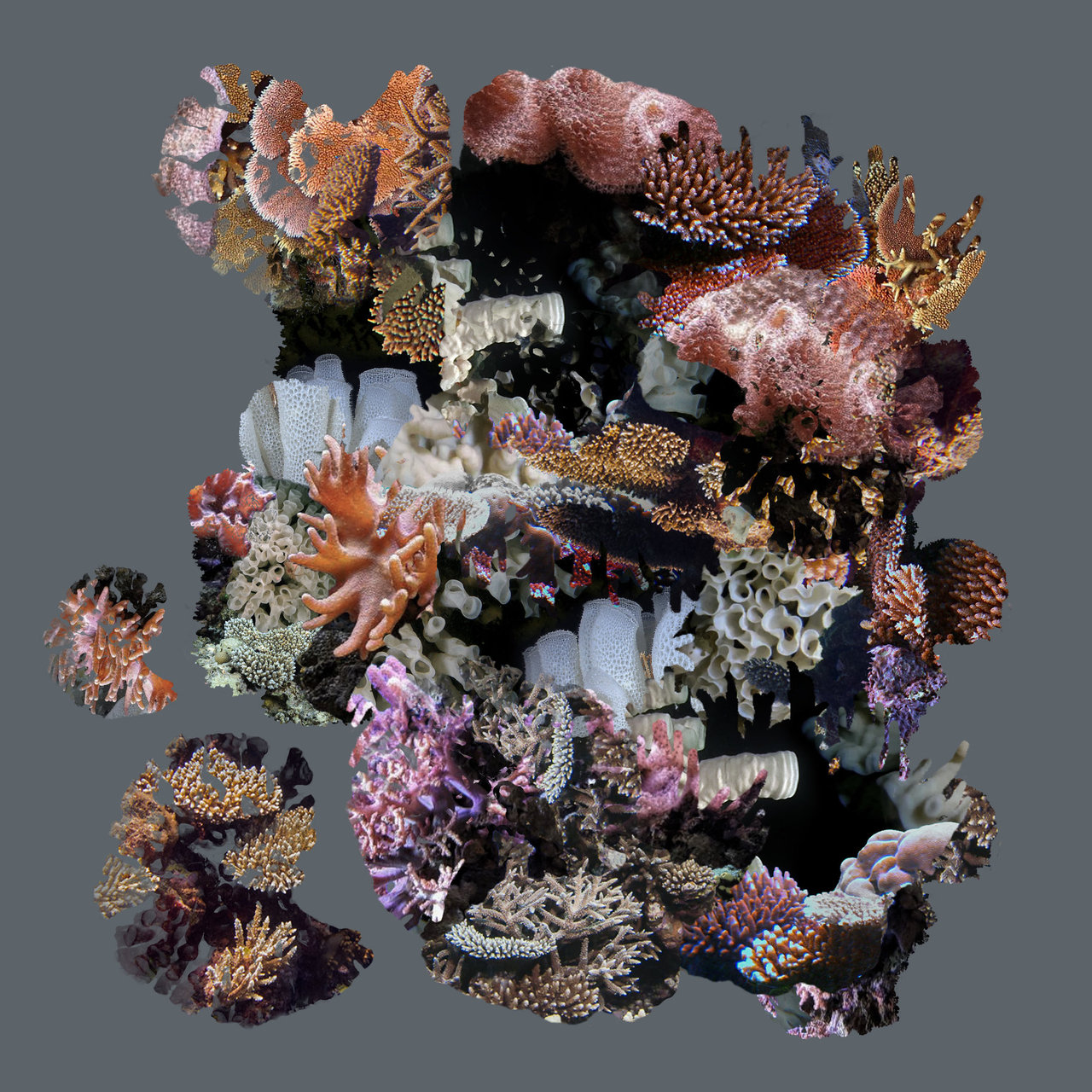 Coral Collages work for Neulinge 2