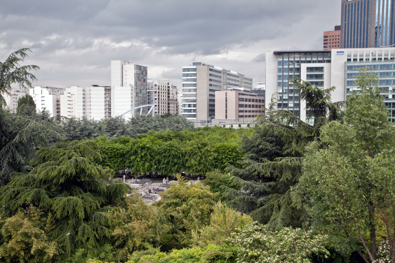 Julien Pace Photographer