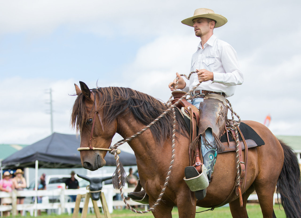 2016 Kaimanawa National Show