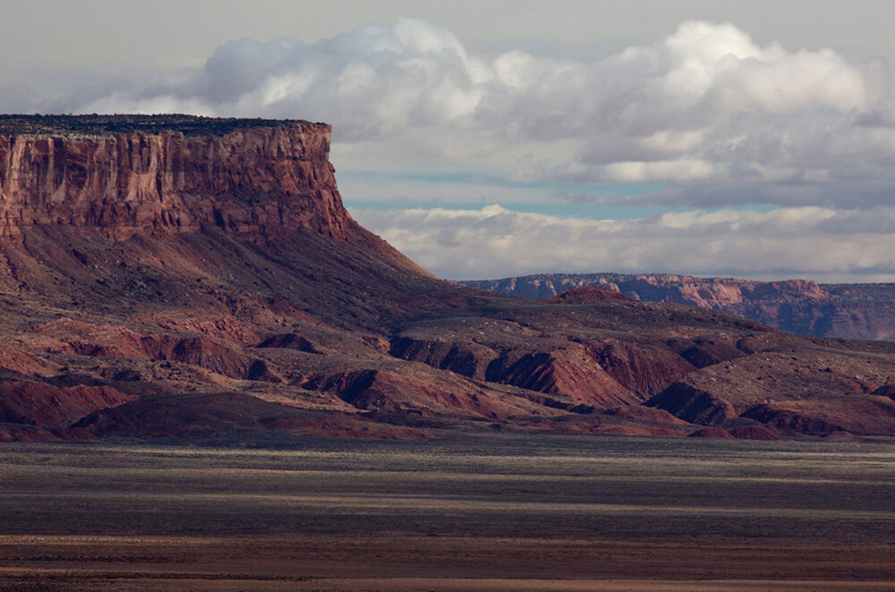 Sean Samuels | Portfolio