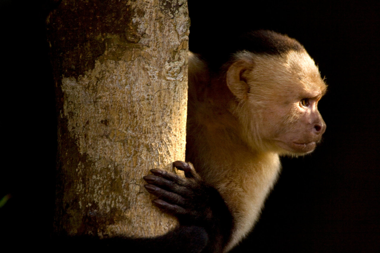 Nature Snaps - wildlife and landscape photography