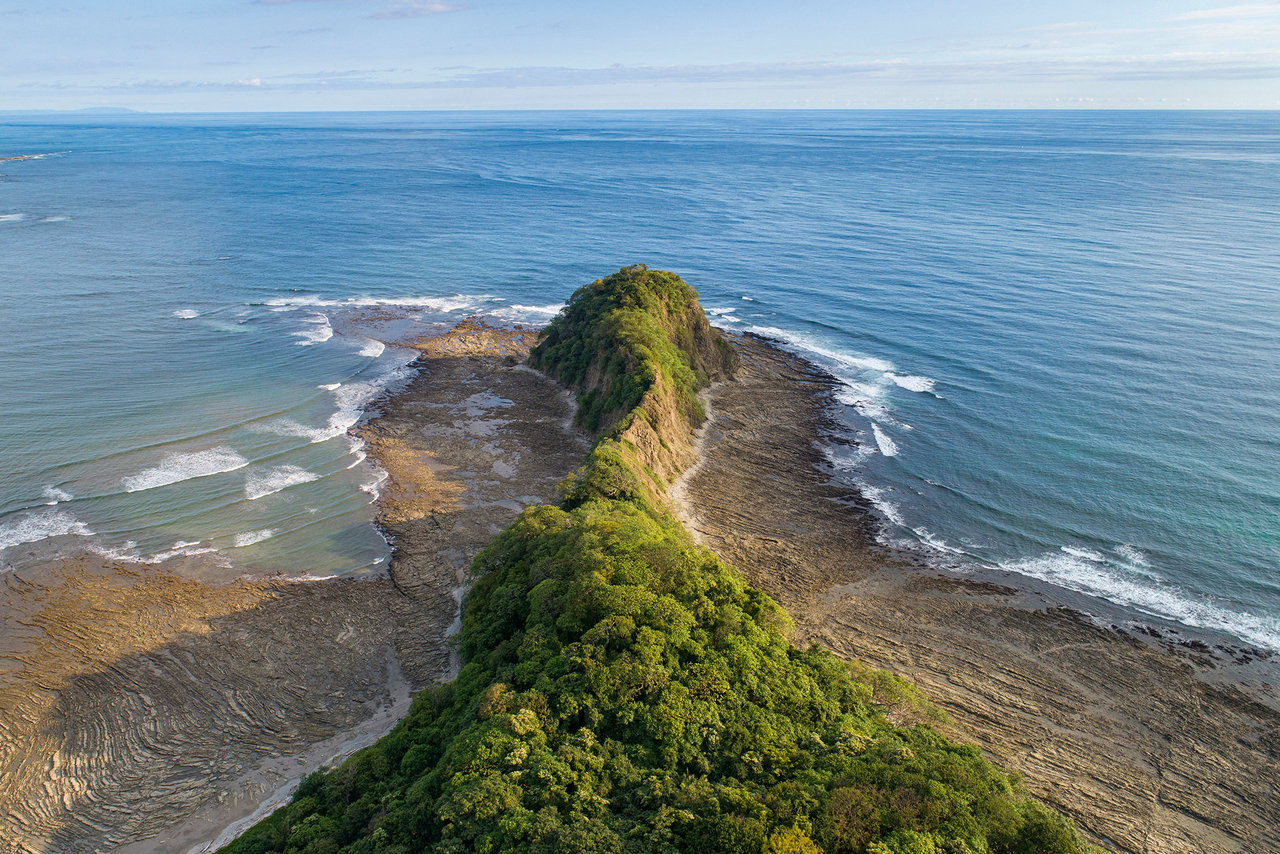 Nature Snaps - wildlife and landscape photography