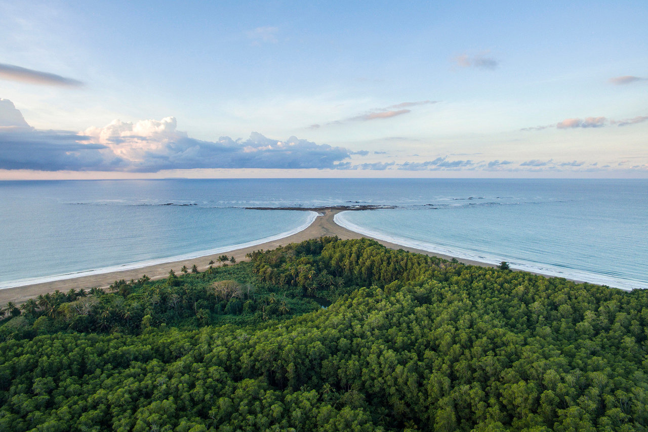 Nature Snaps - wildlife and landscape photography