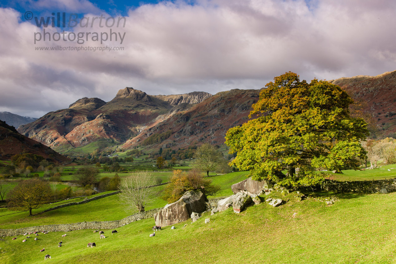 Will Barton Photography Landscape PanoramicScotland Lake District ...