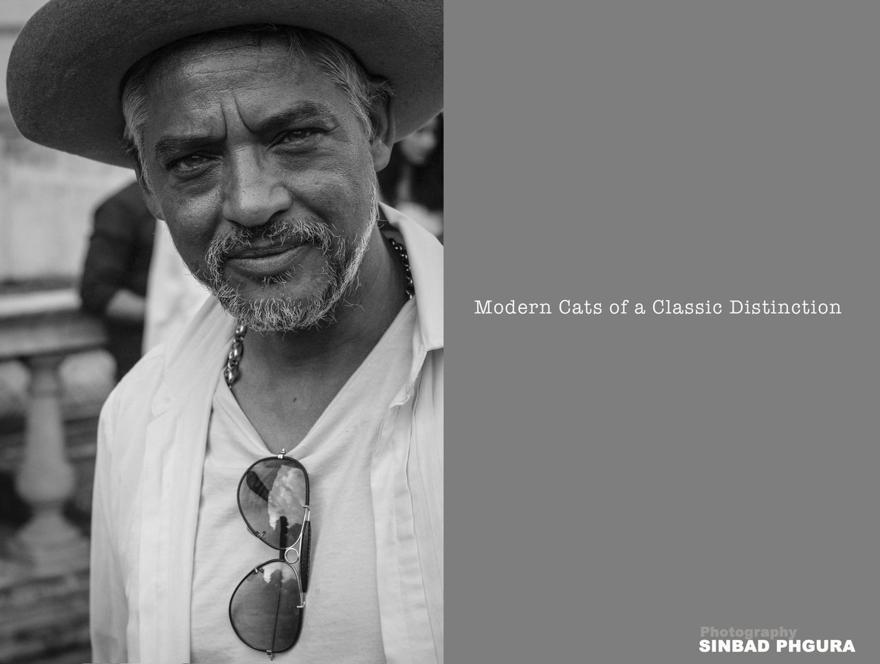 Modern Cats of A Classic Distinction