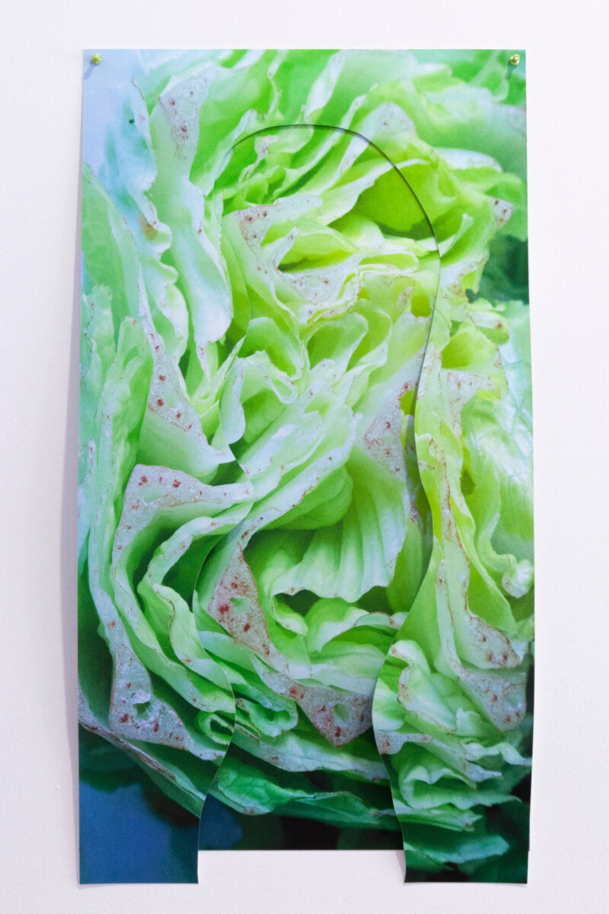 Sticky notes, individual works