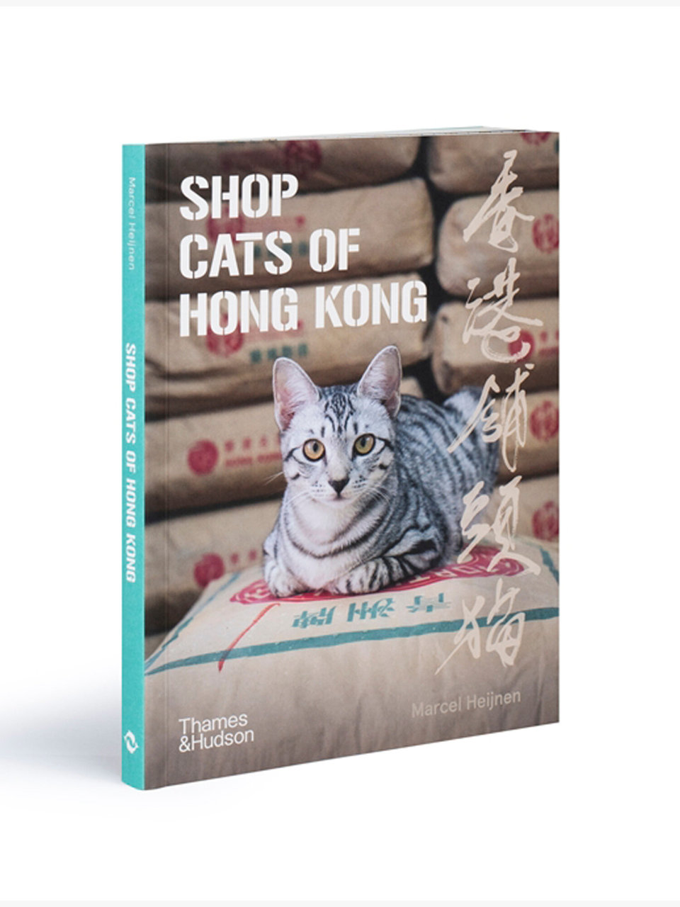 Shop Cats of Hong Kong