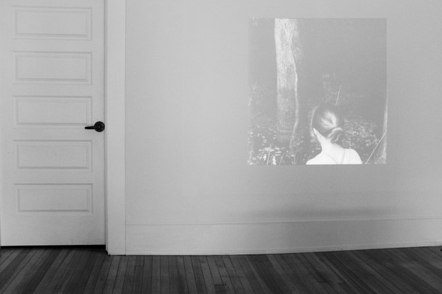 Jen Ervin: The Arc (of Summer)