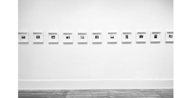 Jen Ervin: The Arc (of Summer)