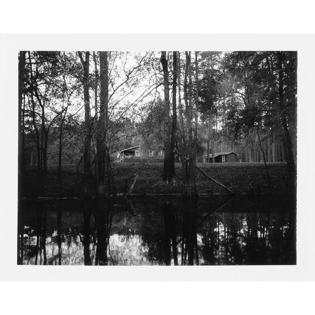 Jen Ervin: The Arc (of Summer)