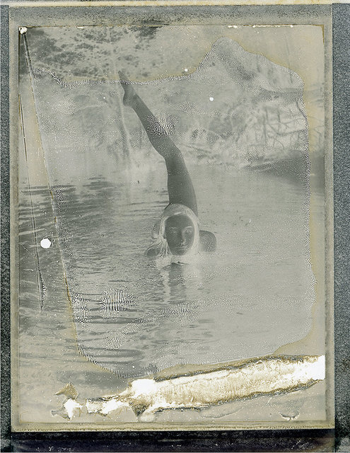 Jen Ervin: The Arc (of Summer)