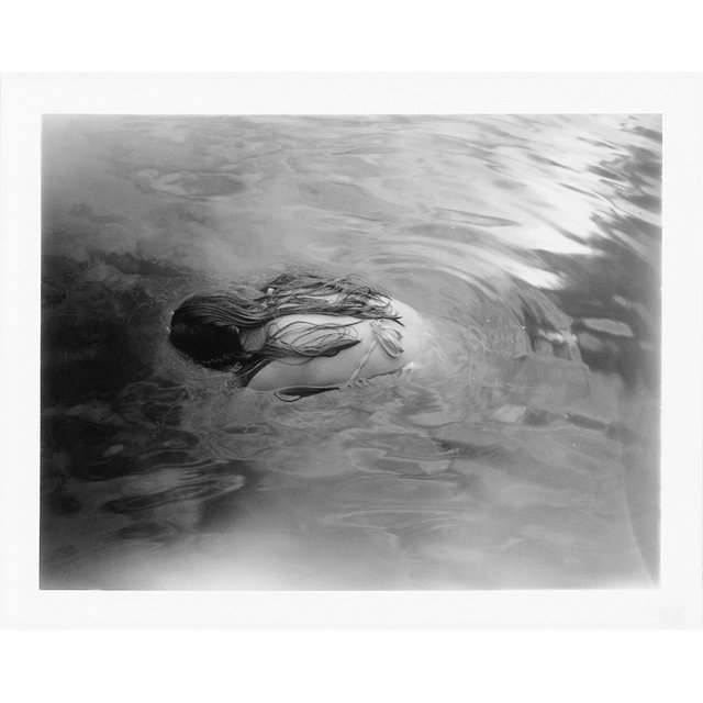 Jen Ervin: The Arc (of Summer)