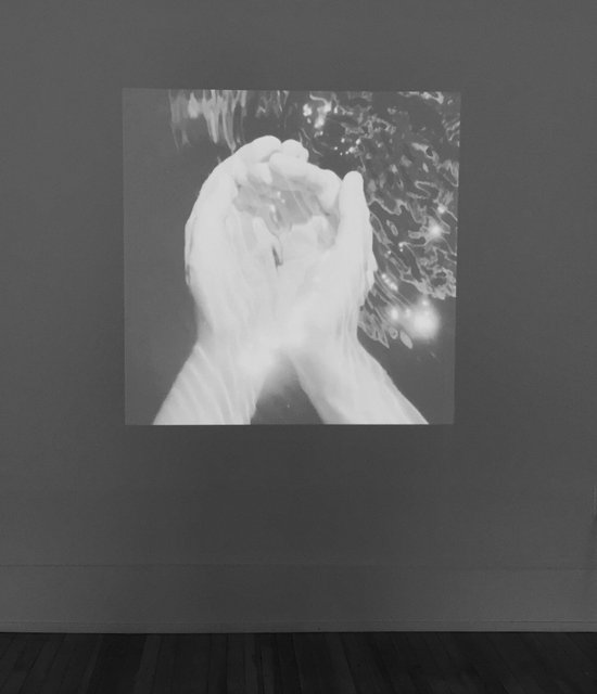 Jen Ervin: The Arc (of Summer)