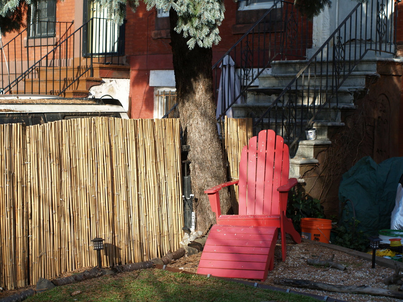 Old Cameras / Fresh Batteries