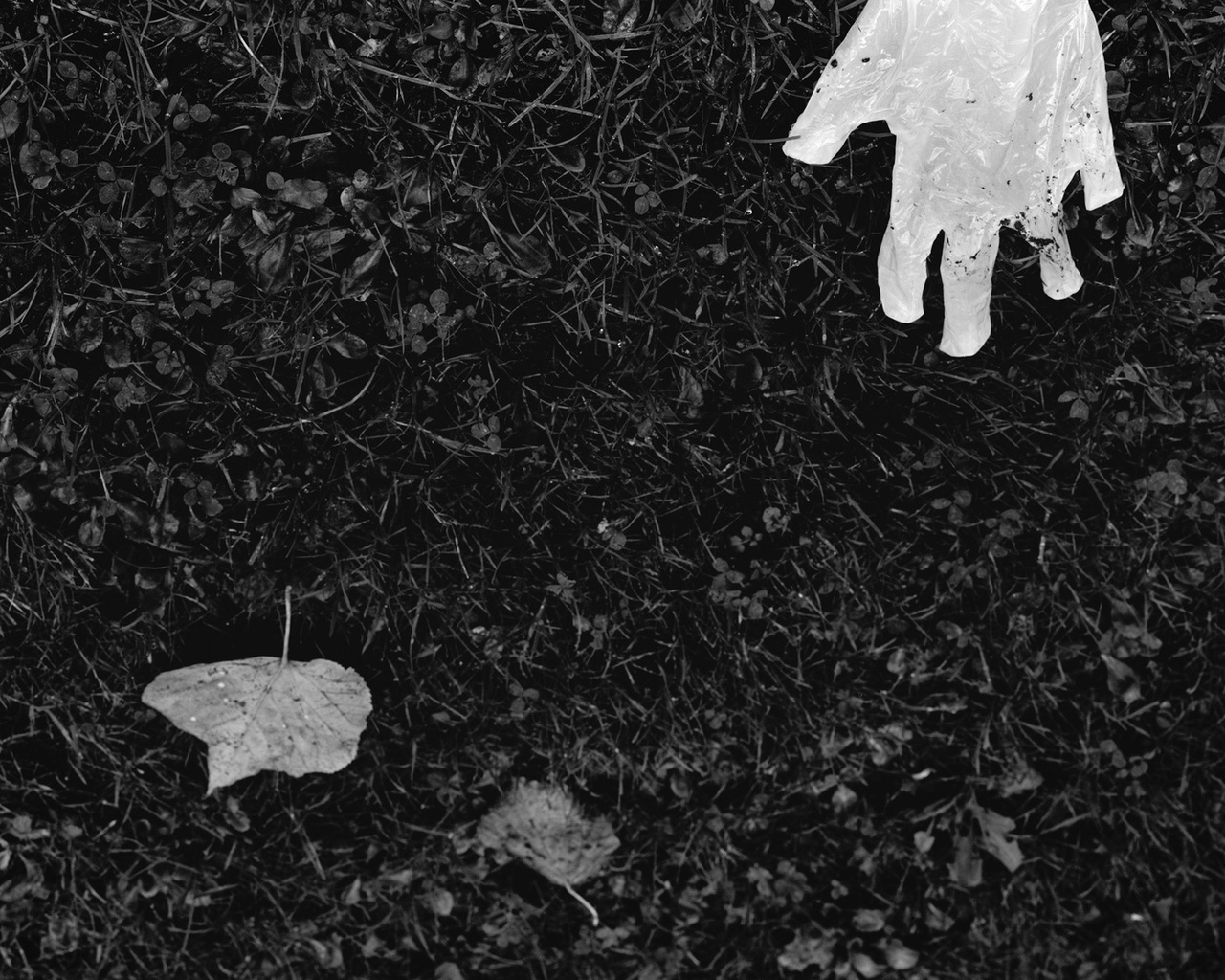 End Scene