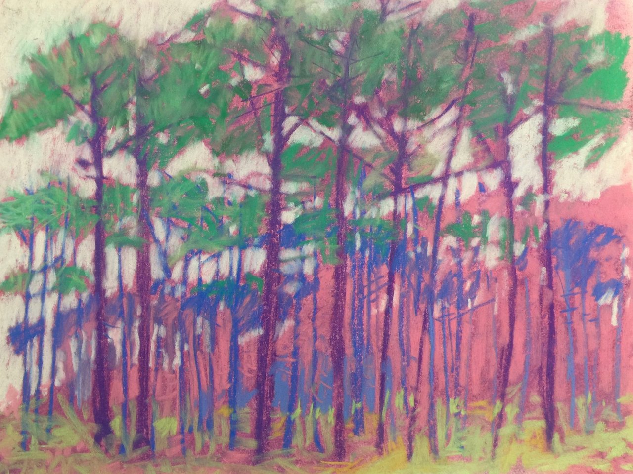 FLORIDA PASTELS