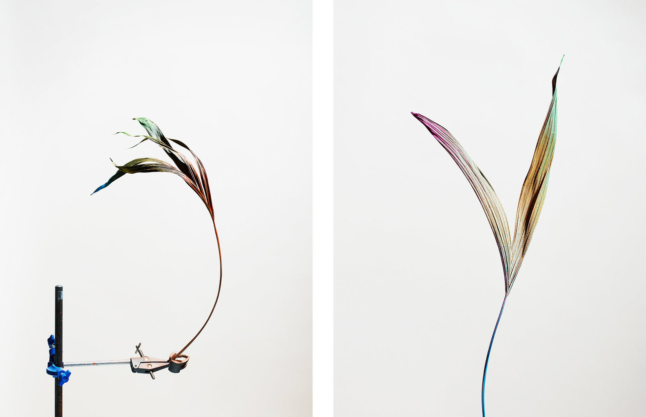 FELICITY MCCABE // PHOTOGRAPHER