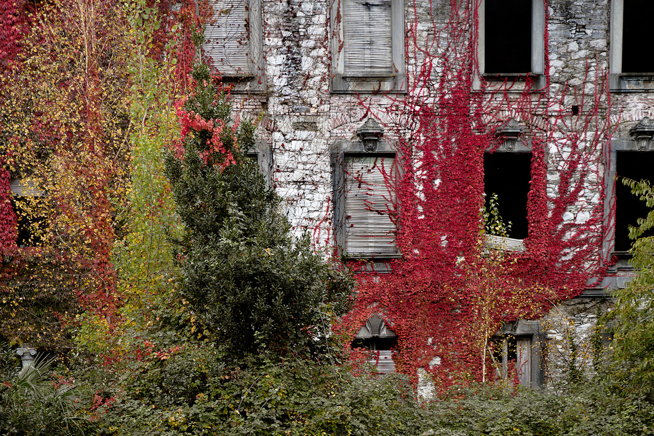 bernard rudden | photography | heliochroma