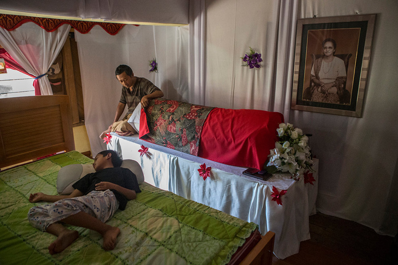 National Geographic - The Living Dead