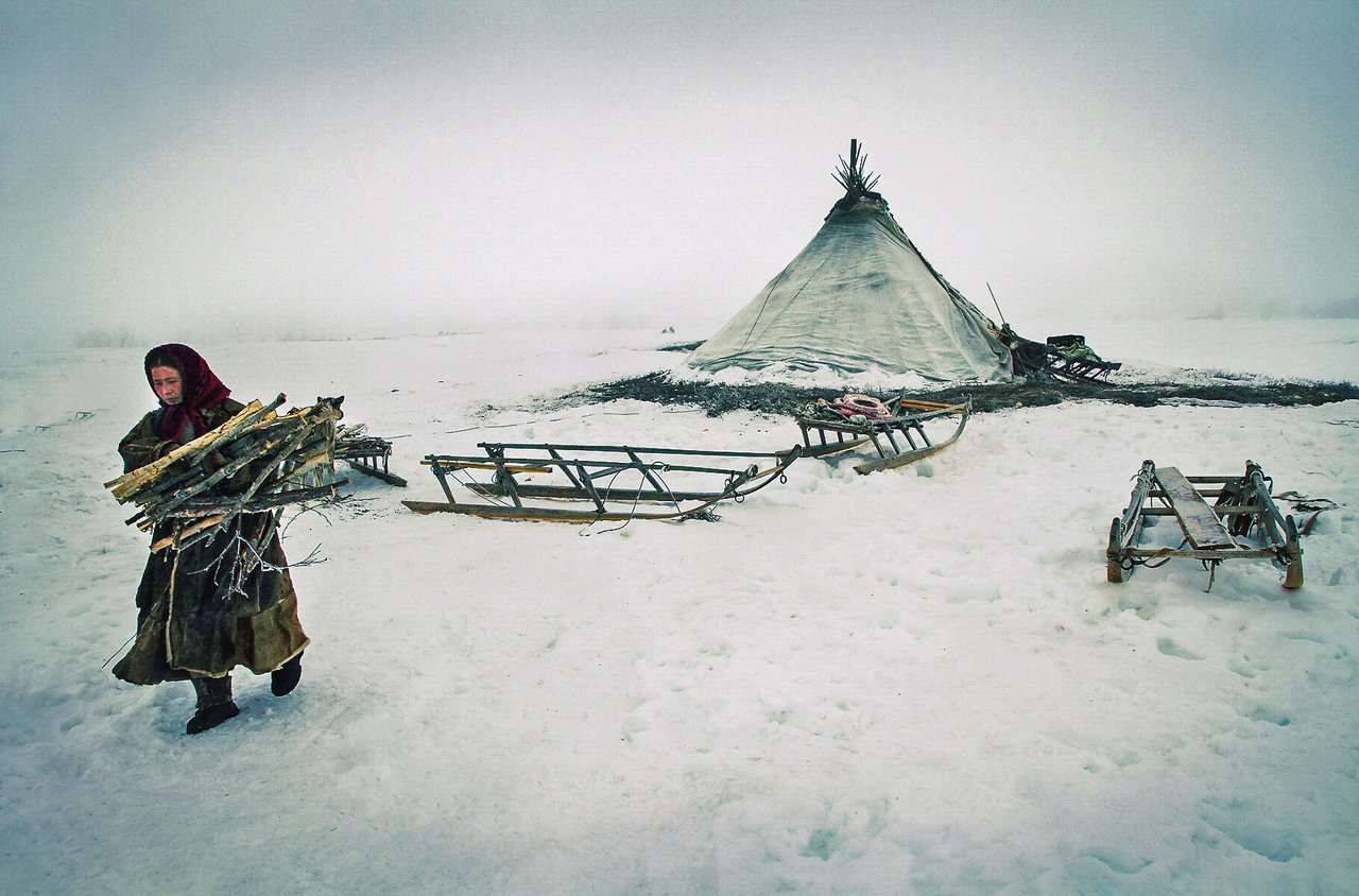Nenets of Yamal, Siberia