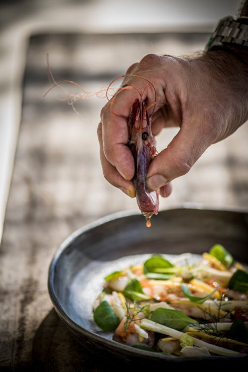 BOOK SOBREMESA SERGIO HERMAN