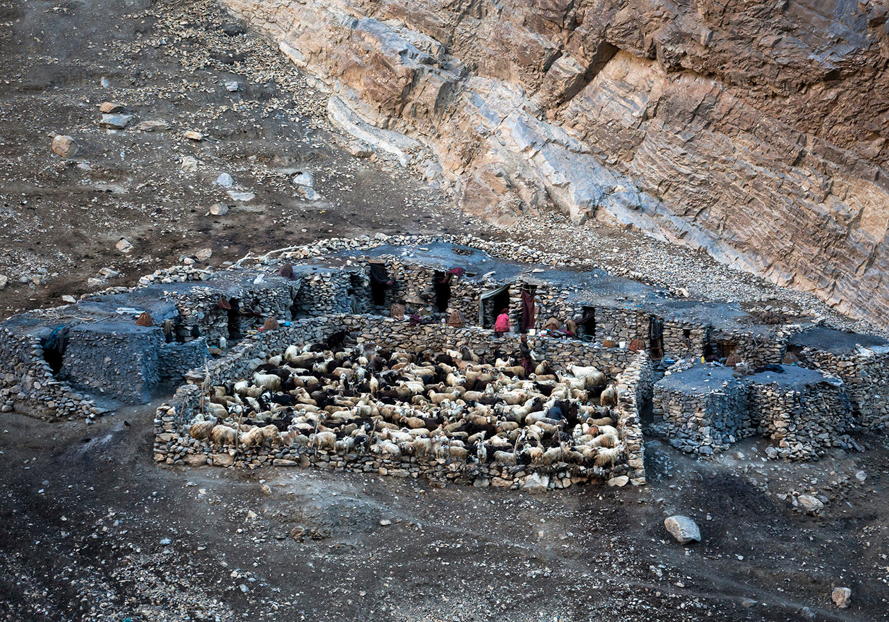 Doksa, Ladakh