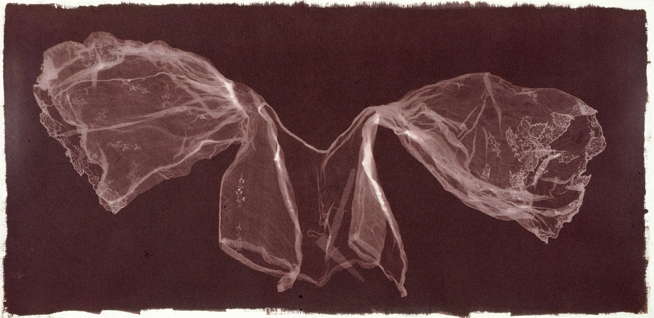 Photograms