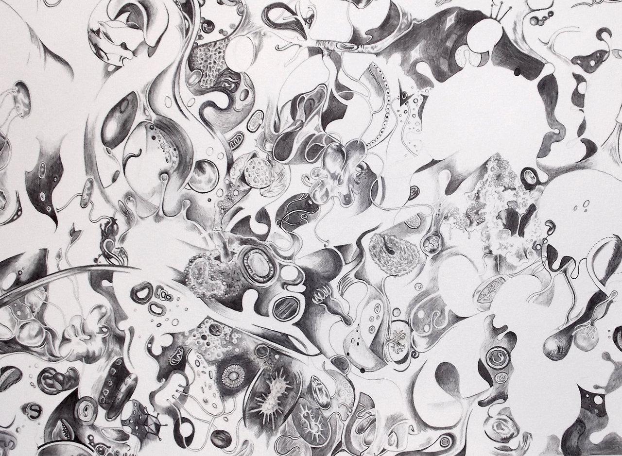 Contemporary Drawing