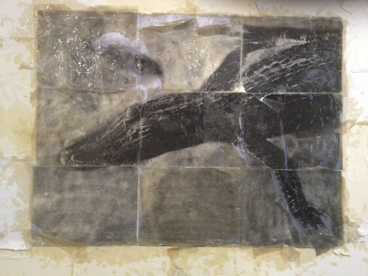 Jeffrey Engel, fine art photographer